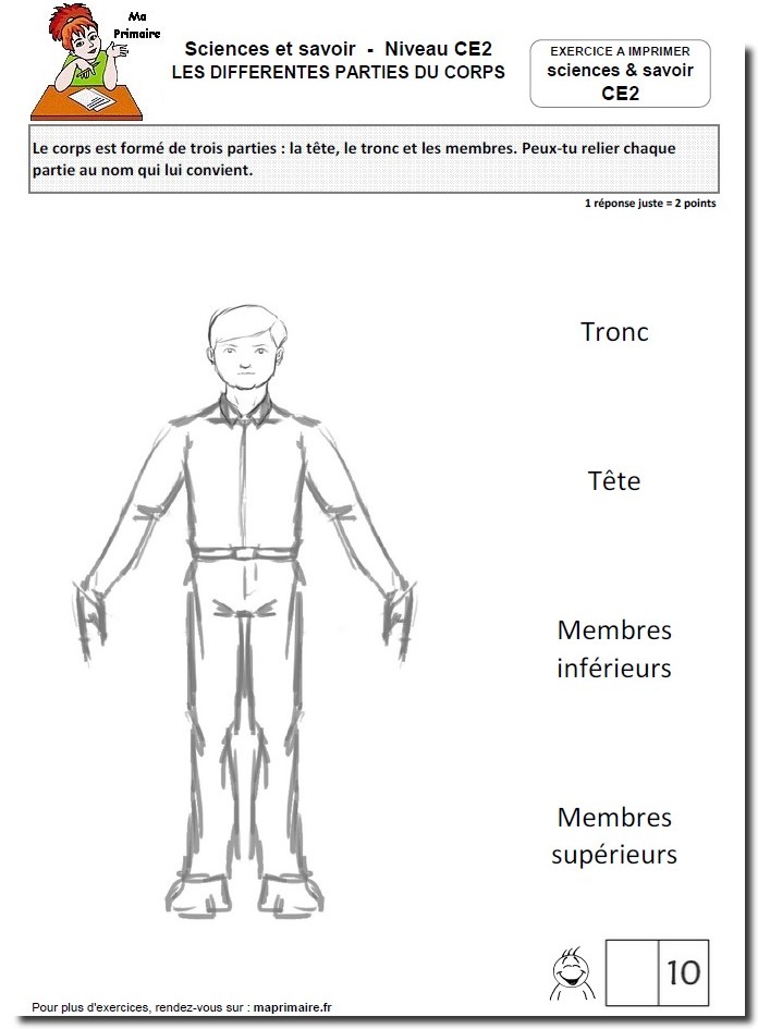 Les différentes parties du corps au ce2